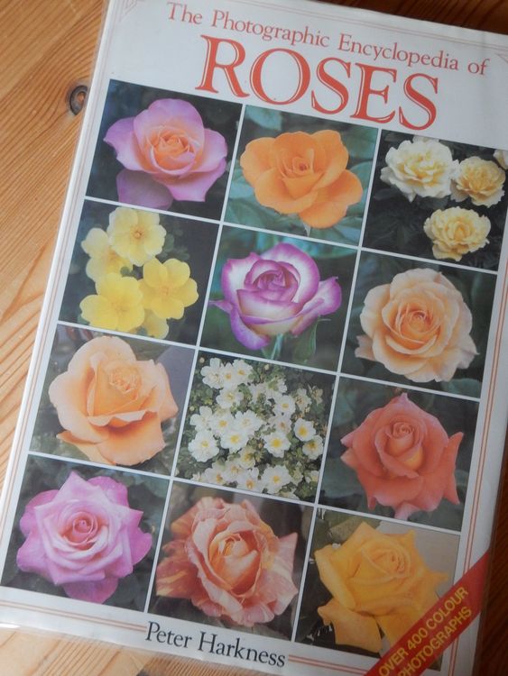 Enzyklopädie Rosen mit über 400 Fotos von Peter Harkness | Kaufen auf ...