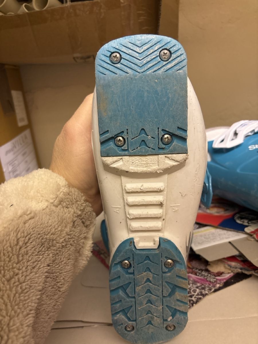 Skischuhe Kinder Tecnica MP22.0 - 23.5 (Gebraucht) in Herrenschwanden ...