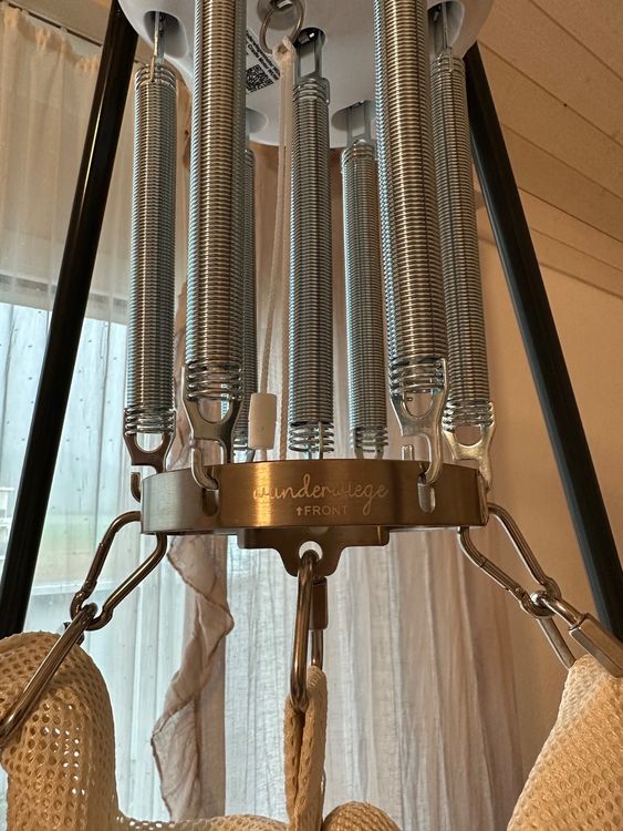 Federwiege Zwilling mit Motor „Wunderwiege“ | Kaufen auf Ricardo