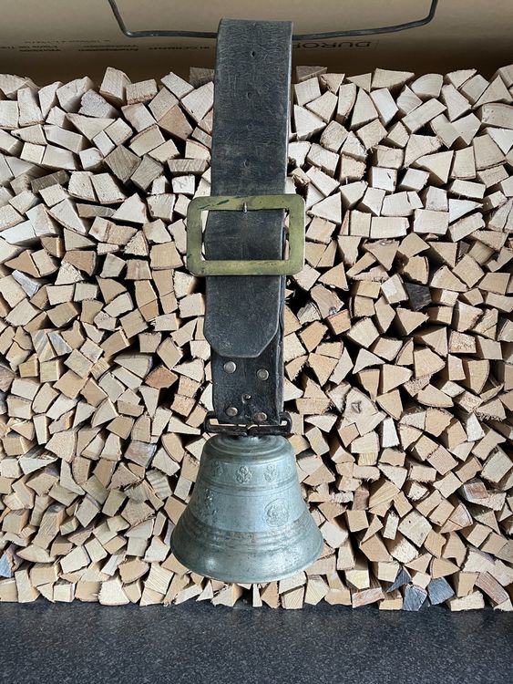 Glocke ab CHF 1.- | Kaufen auf Ricardo