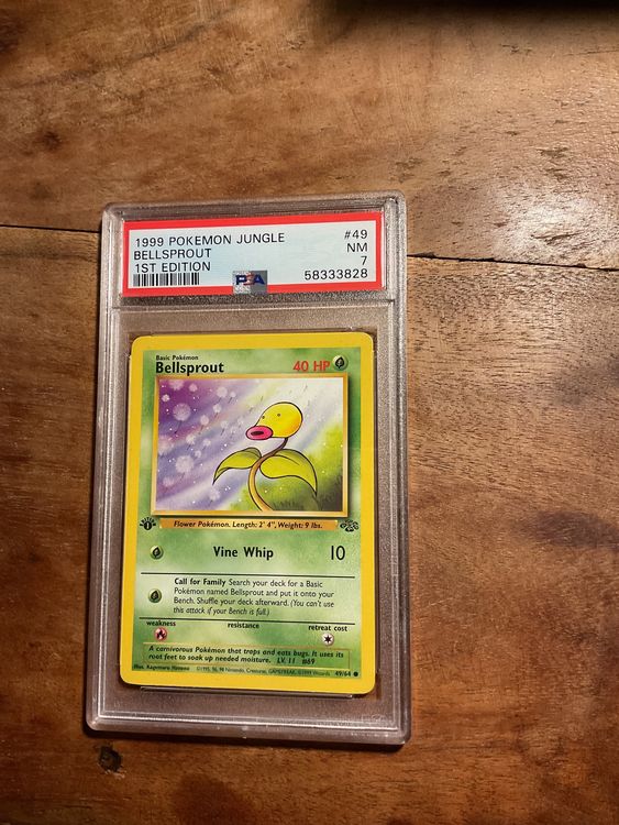 Bellsprout 1st edition, Pokémon Jungle (1999), PSA 7 (Gebraucht) in ...