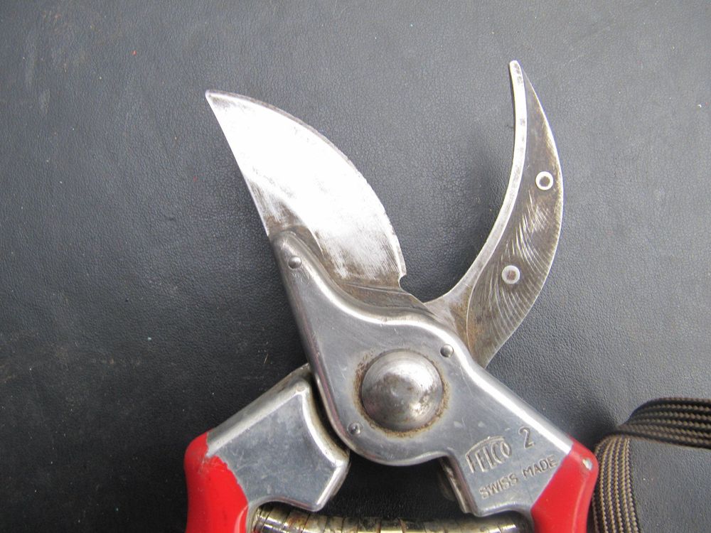 Rosenschere / Gartenschere FELCO 2 | Kaufen auf Ricardo