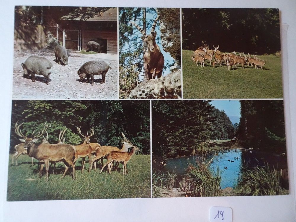 Waldhaus Roggenhausen bei Aarau (Gebraucht) in Schönenwerd für CHF 1 – mit Lieferung auf Ricardo ...