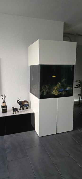 Säuleaquarium weiss Hochglanz | Kaufen auf Ricardo