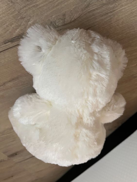 Plüschiger herziger Teddybär (Neu (gemäss Beschreibung)) in Seon für CHF 29 – mit Lieferung auf ...