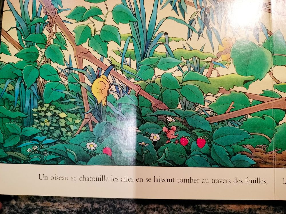 Au fond du jardin Claude Ponti (D'occasion) à Cortaillod pour CHF 5 ...