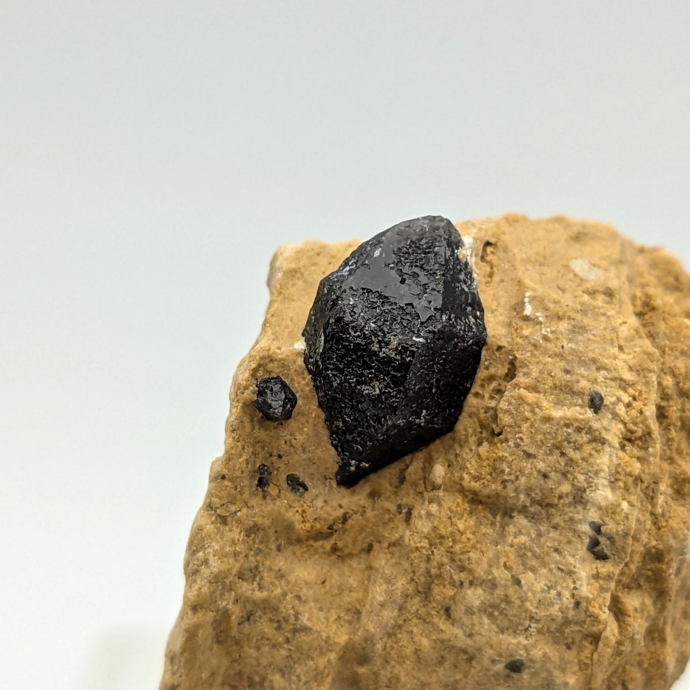 MORION QUARZ BETA, doppelter schwarzer Kristall, Italien (Nuovo (secondo la descrizione)) a ...