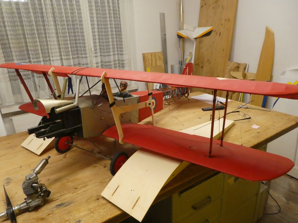 The Proctor Antic Biplane (Gebraucht) in Frauenfeld für CHF 153 – nur ...