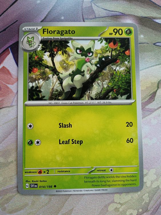 Floragato - Scarlet & Violet 014 - Feliospa | Kaufen auf Ricardo