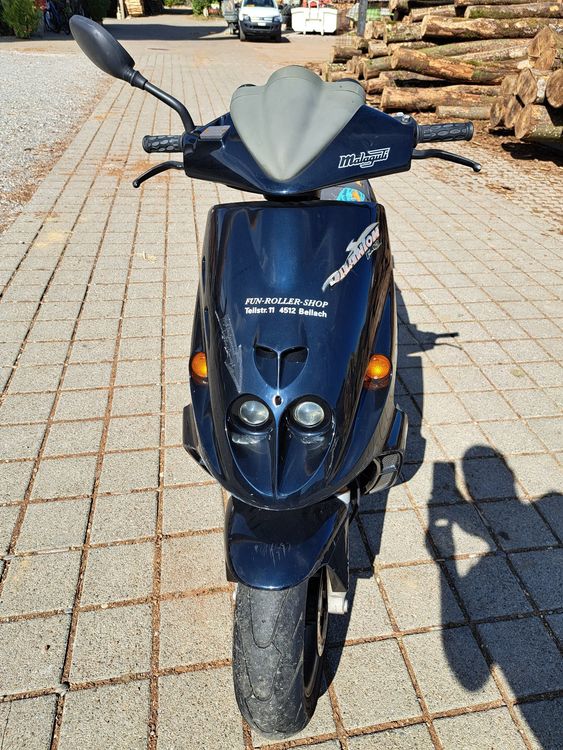 Malaguti Phantom F12 50 (Gebraucht) in Hallau für CHF 77 – nur Abholung auf Ricardo kaufen