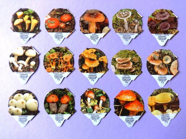 Série 620 (Attaches) - Champignons (40) (D'occasion) à Fétigny pour CHF ...