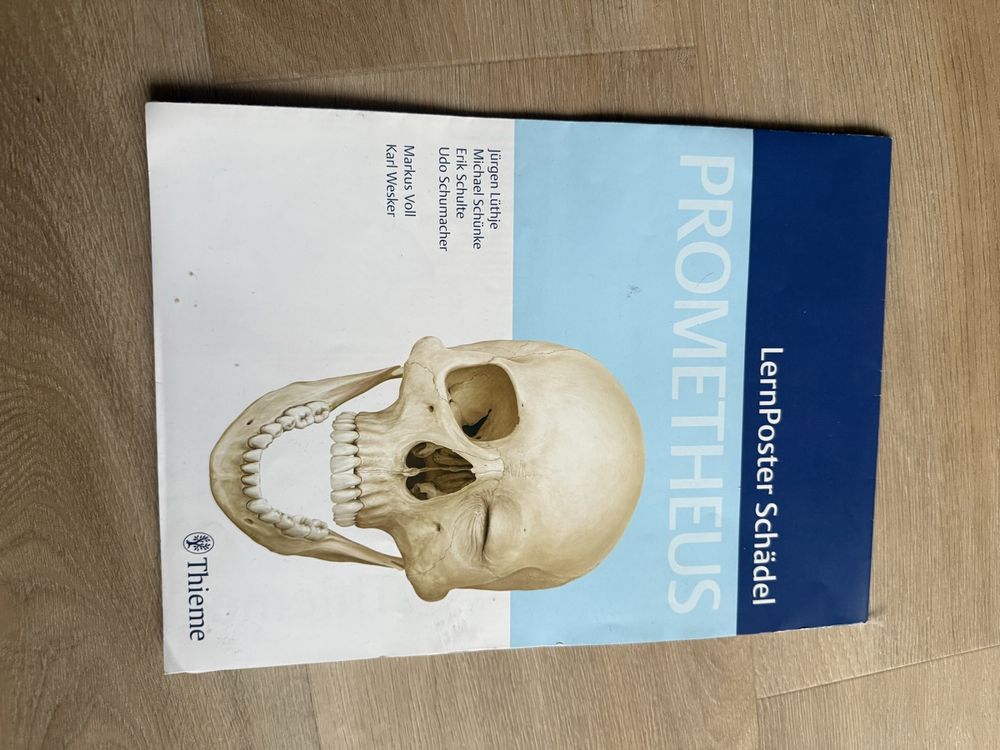 Prometheus Lernposter Schädel - Anatomie Wissen für Studium! (Neu ...