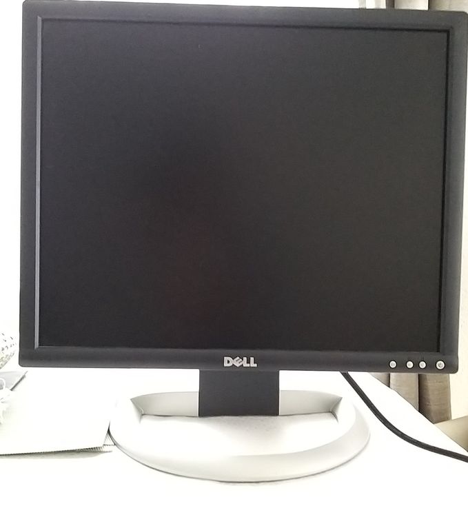 Dell Monitor 19 Zoll | Kaufen auf Ricardo