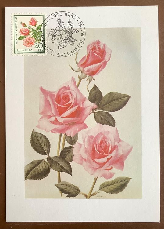 Maximumkarte 1982 Rosen PJ Juventute MK Roses Blumen | Kaufen auf Ricardo
