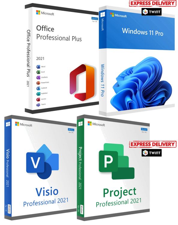 Windows 11 Pro | Office Pro Plus | Project | Visio Pro 2021 (Gebraucht ...
