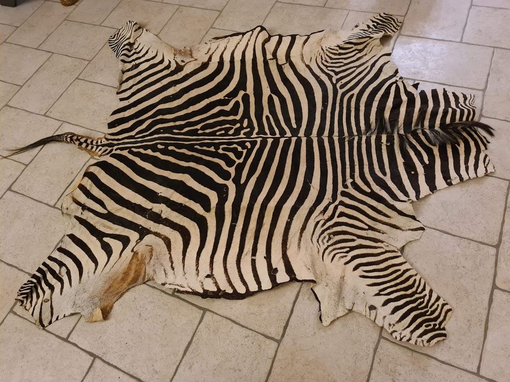 Echtes Zebrafell | Kaufen auf Ricardo