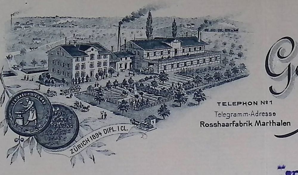 Briefkopf Rosshaarfabrik Gebr. Toggenburger Marthalen 1915 (Gebraucht) in Russo für CHF 2 – mit ...