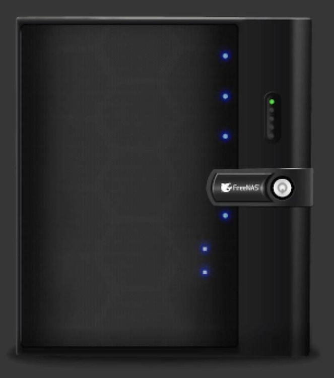TrueNAS Mini X+ iXsystems NAS - 52TB raw Storage (Gebraucht) in ...