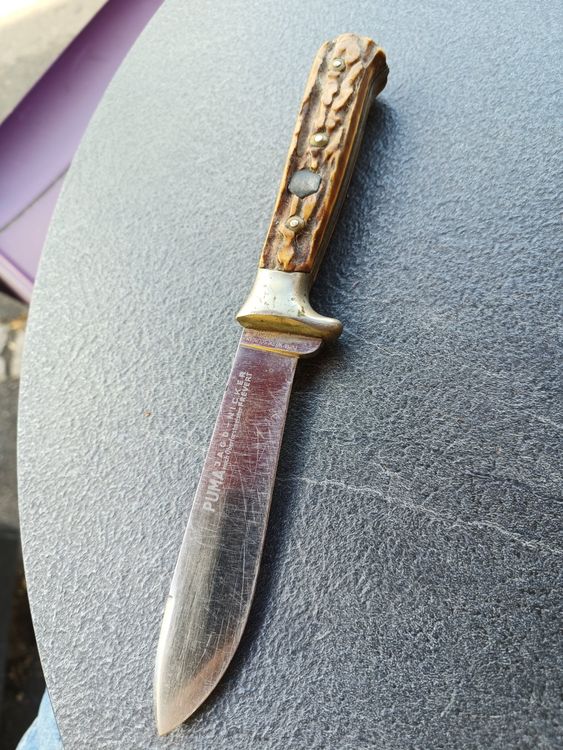 Puma Jagd Nicker nach Oberforstmeister Frevert - Nr 3589 (Gebraucht) in ...