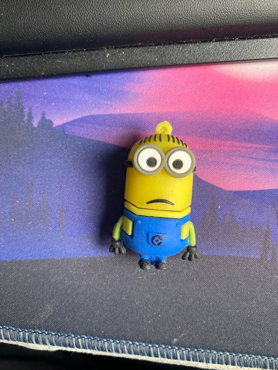 USB-Stick Minion Design (Gebraucht) in St. Gallen für CHF 1 – mit ...