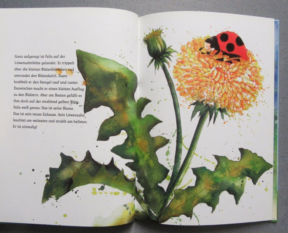 Felix und die Pustelblume - Felix der kleine Marienkäfer (Gebraucht) in ...