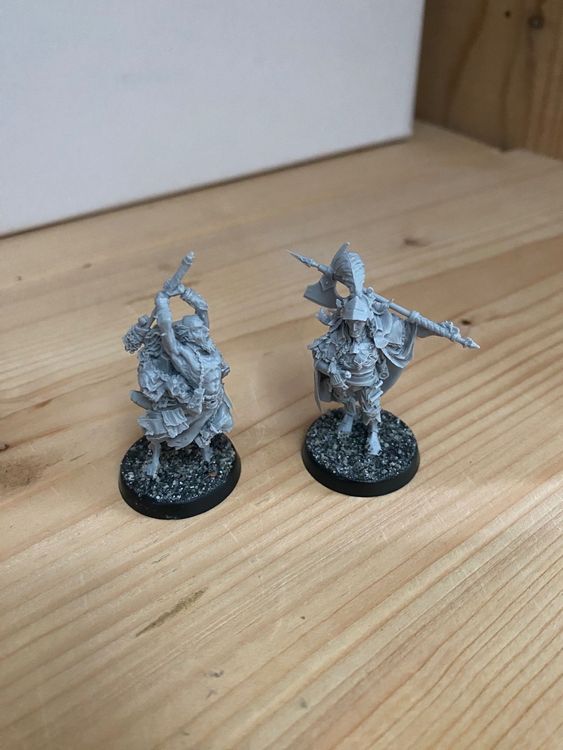Warhammer the old World Empire Captain & Flagellant | Kaufen auf Ricardo