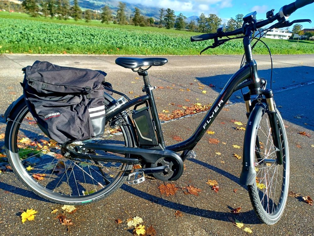 Flyer E-Bike T8 Deluxe | Kaufen auf Ricardo
