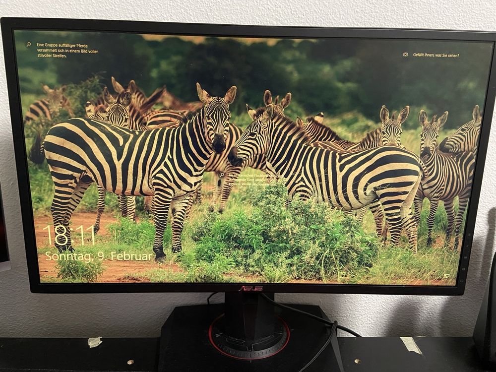 Asus VG248 Gaming Monitor 165Hz | Kaufen auf Ricardo