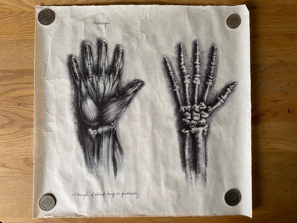 Original Alien Covenant Movie Prop vom Filmset !!! Giger | Kaufen auf ...