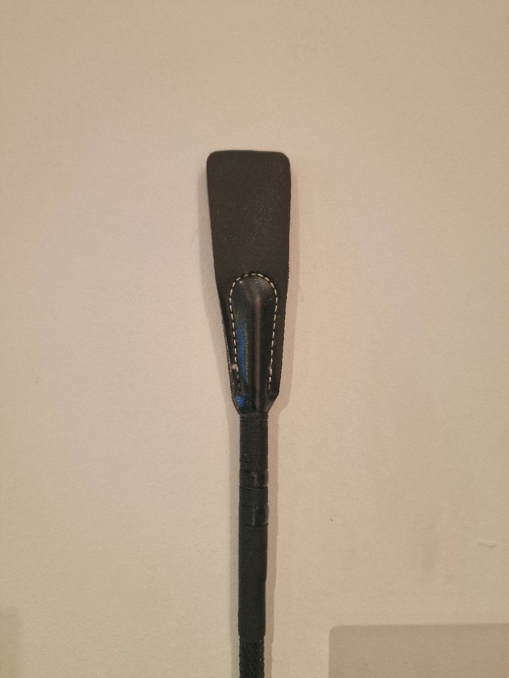 Cravache (Neuf (Voir description)) à Biel/Bienne pour CHF 30 – avec ...