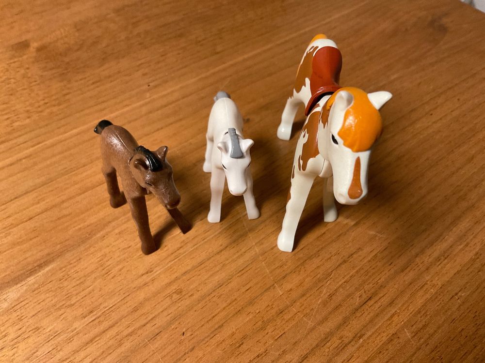 Playmobil - Pferde (Gebraucht) in Hagendorn für CHF 3 – mit Lieferung auf Ricardo kaufen