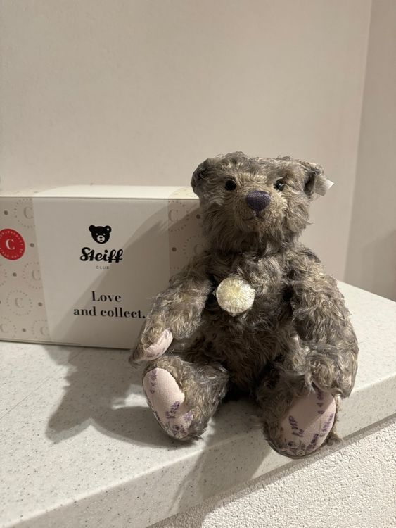 Steiff Club Teddybar 2024 (Neu und originalverpackt) in St. Margrethen SG für CHF 71 – mit ...