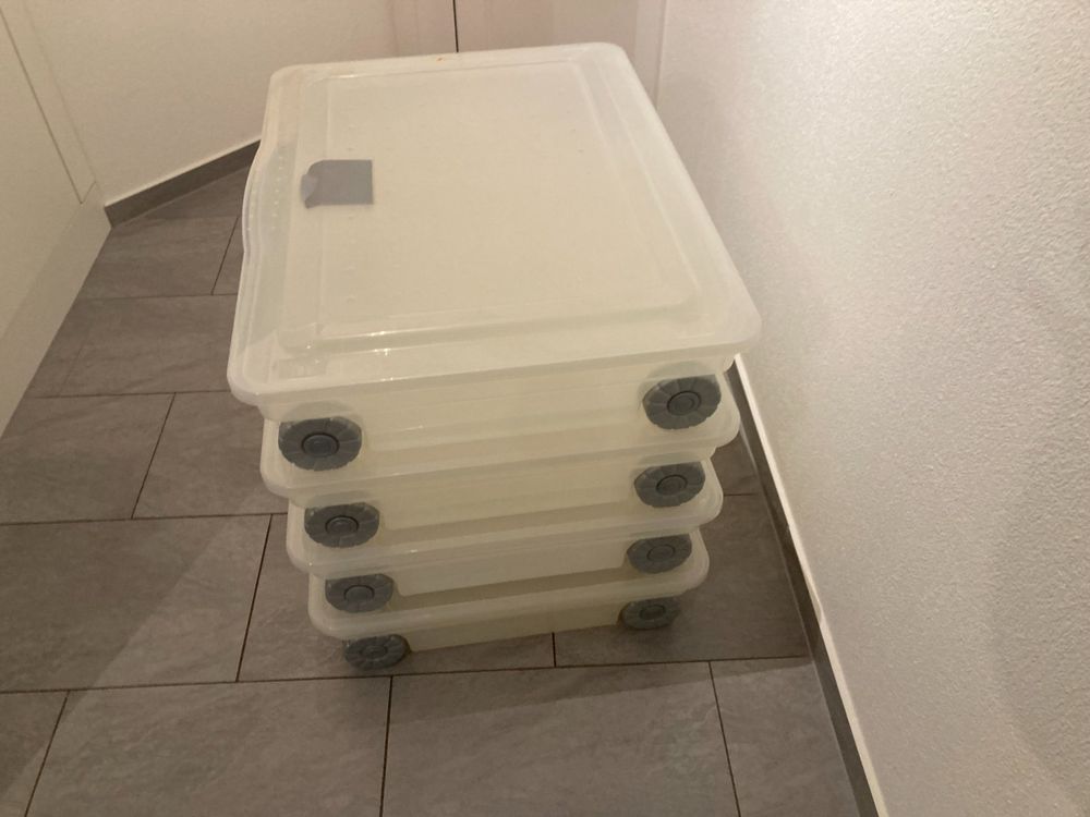 4 Rotho Unterbettboxen mit Rollen Guter Zustand | Kaufen auf Ricardo