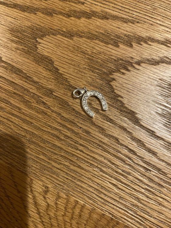 Thomas Sabo Charm Hufeisen (Gebraucht) in Muri AG für CHF 16.9 – mit Lieferung auf Ricardo kaufen