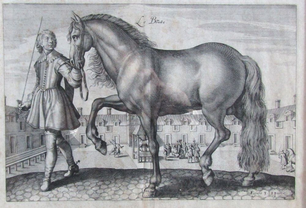 Pferd Le Bonite Kupferstich gerahmt | Kaufen auf Ricardo