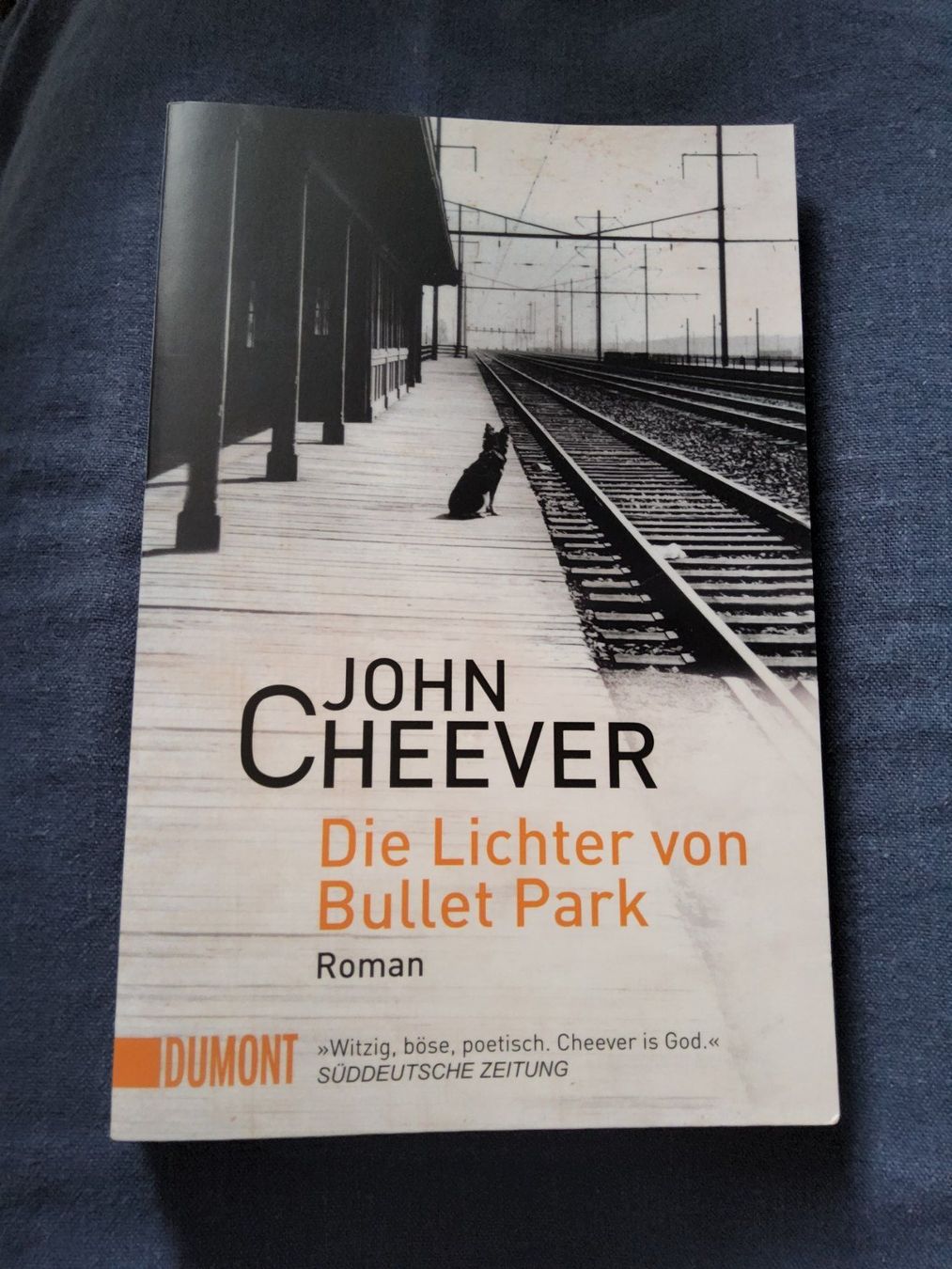 John Cheever Die Lichter von Bullet Park (Gebraucht) in Neuhausen am ...