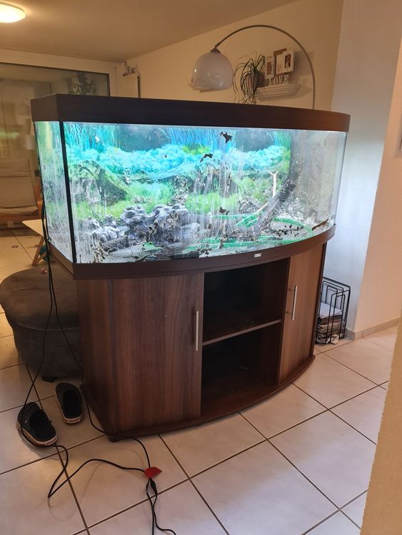 Juwel rio 450 Panorama | Kaufen auf Ricardo