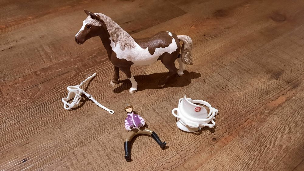Schleich Pferd: gescheckte Stute (inkl.Reiterin,Sattel+Zaum) (Gebraucht ...