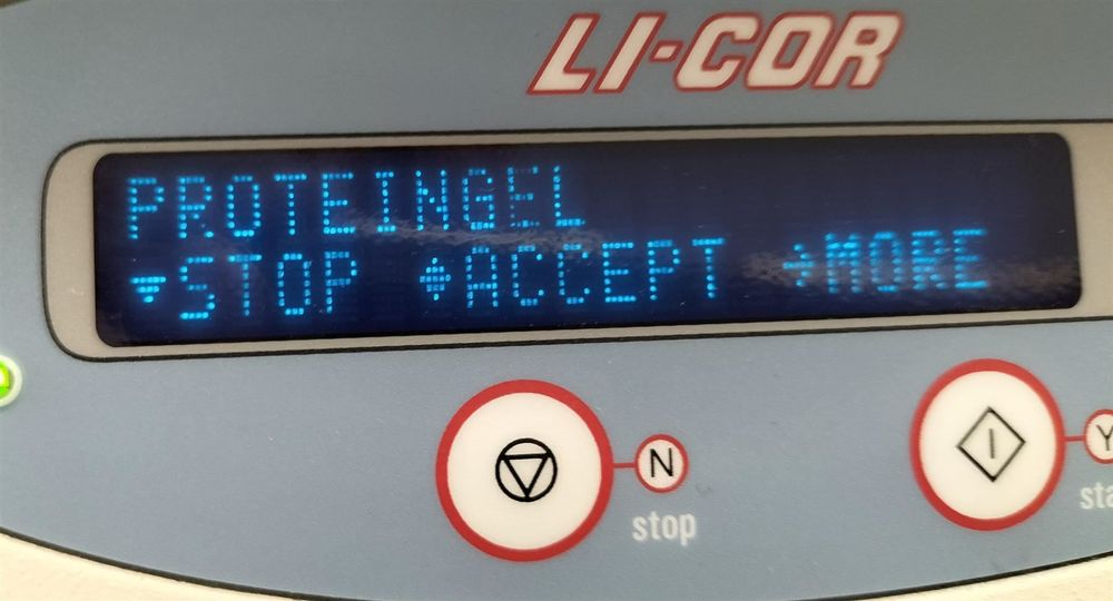 LiCor Odyssey Infrared Imaging System (Gebraucht) in Niederdorf für CHF ...