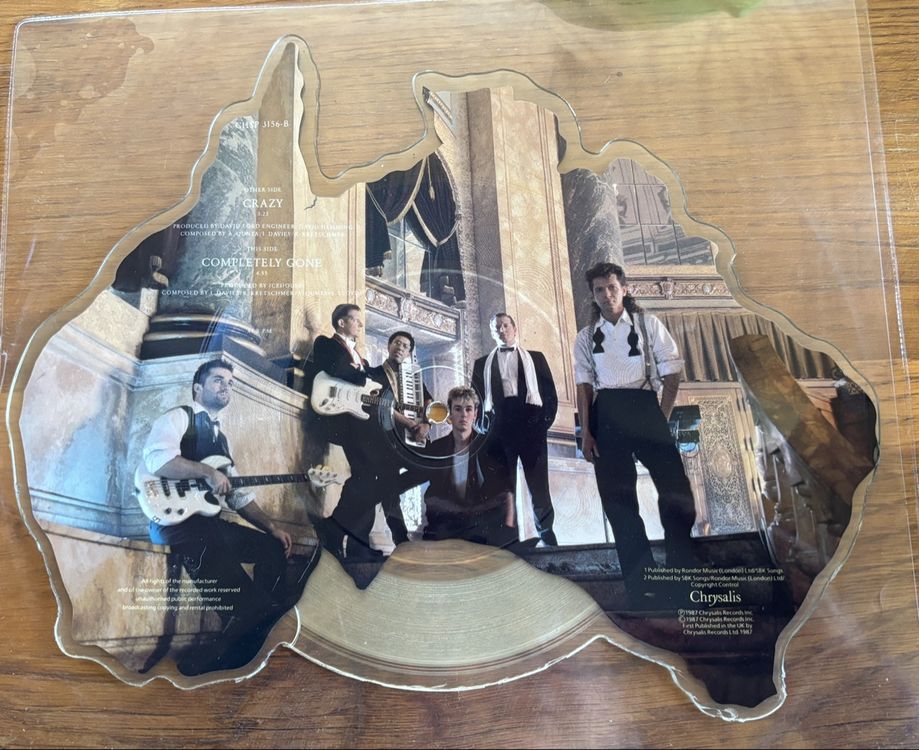 Picture Vinyl ICEHOUSE shaped Pic-Disc (Gebraucht) in St. Margrethen SG ...