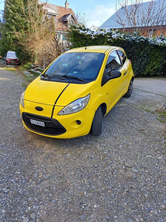 Ford Ka mit frischer MFK (Gebraucht) in St. Gallen für CHF 3200 – nur ...