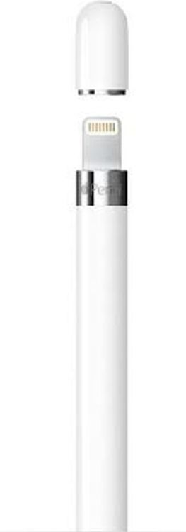 Apple Pencil - Pen / Stylus für Apple iPad 9. Generation (Gebraucht) in ...