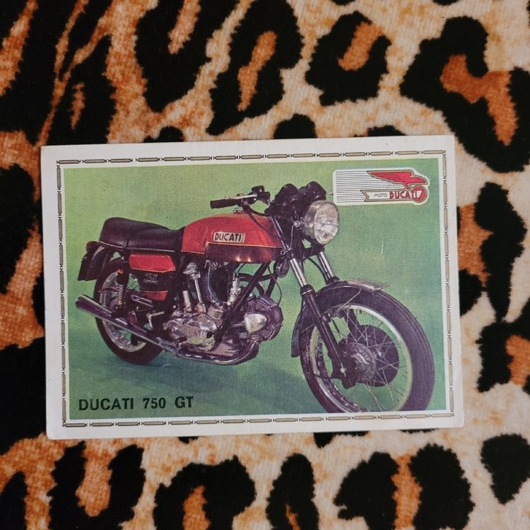 SUPER MOTO PANINI DUCATI 750 GT (Gebraucht) in Schönenwerd für CHF 2 ...