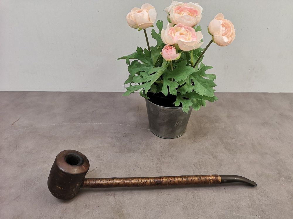 Antike Tabakpfeiffe von Ropp (Gebraucht) in Nottwil für CHF 29 – mit ...