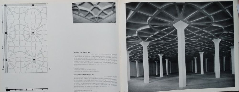 Stararchitekt P. L. Nervi: Bauten und Projekte (1957) (Gebraucht) in ...