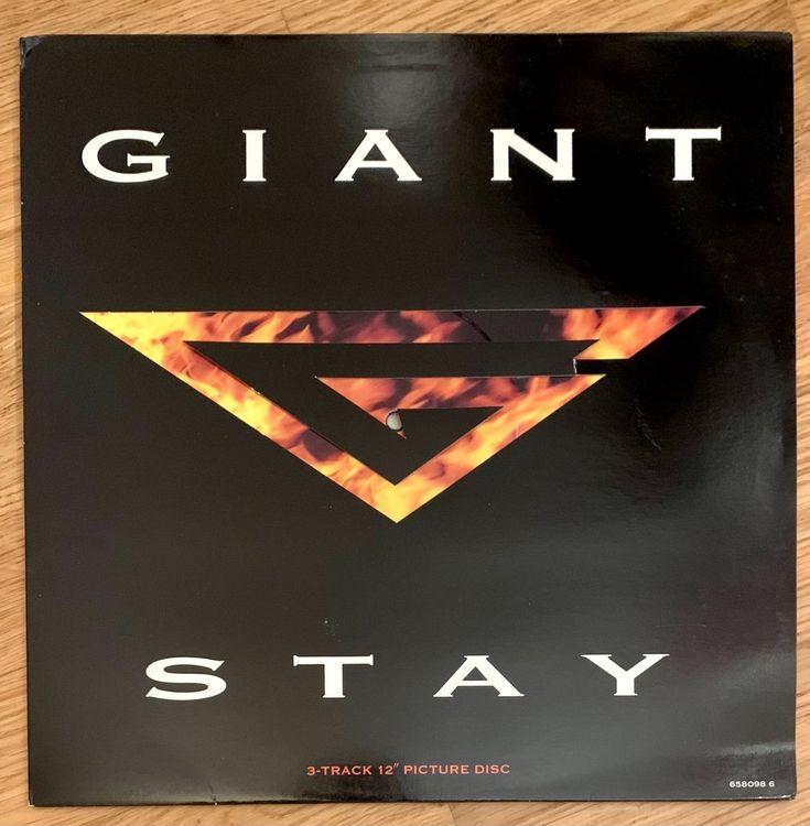 GIANT Stay 12“ SINGLE PICTURE DISC RAR (Neu (gemäss Beschreibung)) in ...