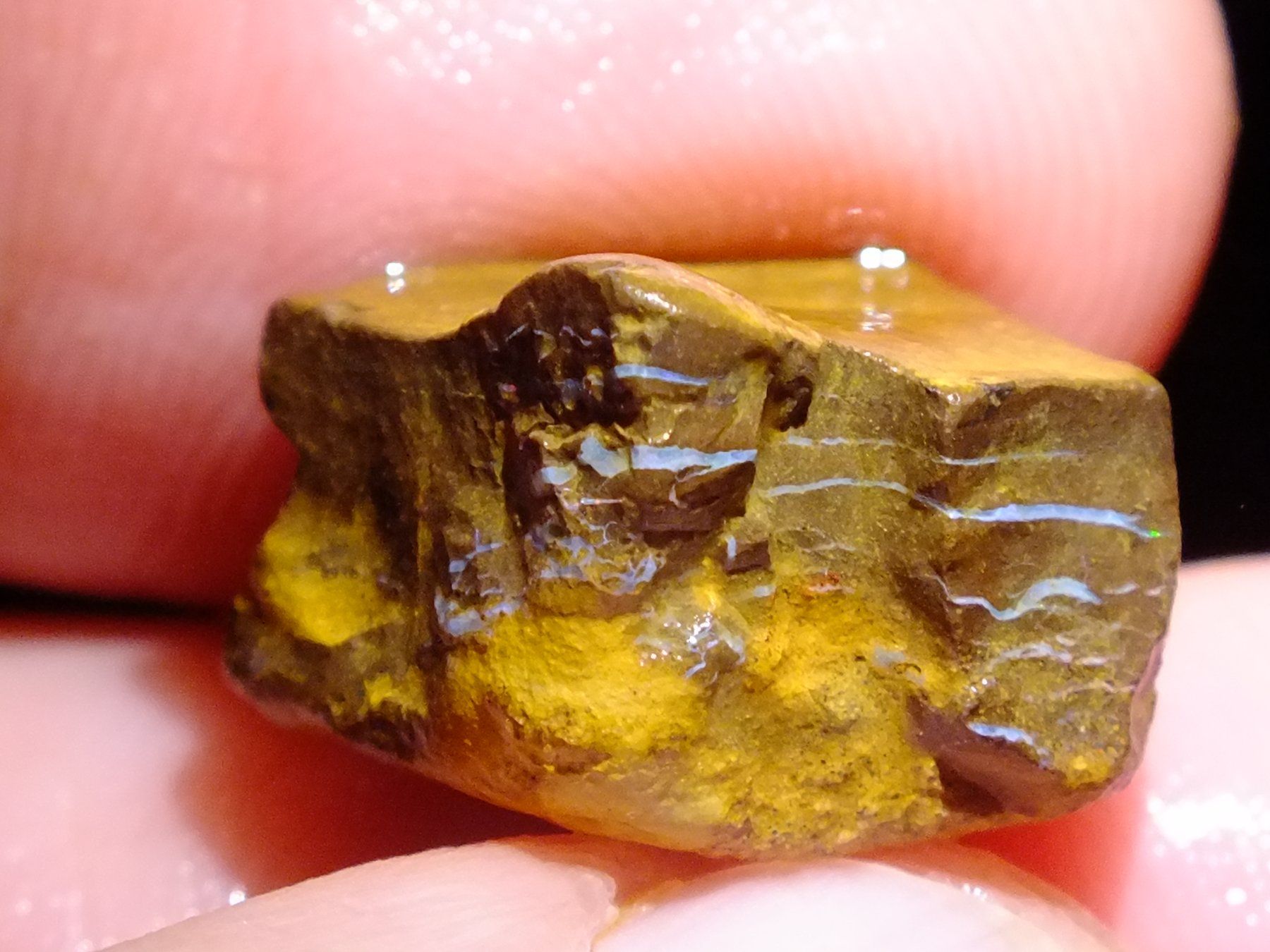 BOULDER ROH OPAL 105 karat Lot TOP QUALITAT Voll Feuer (Neu und ...