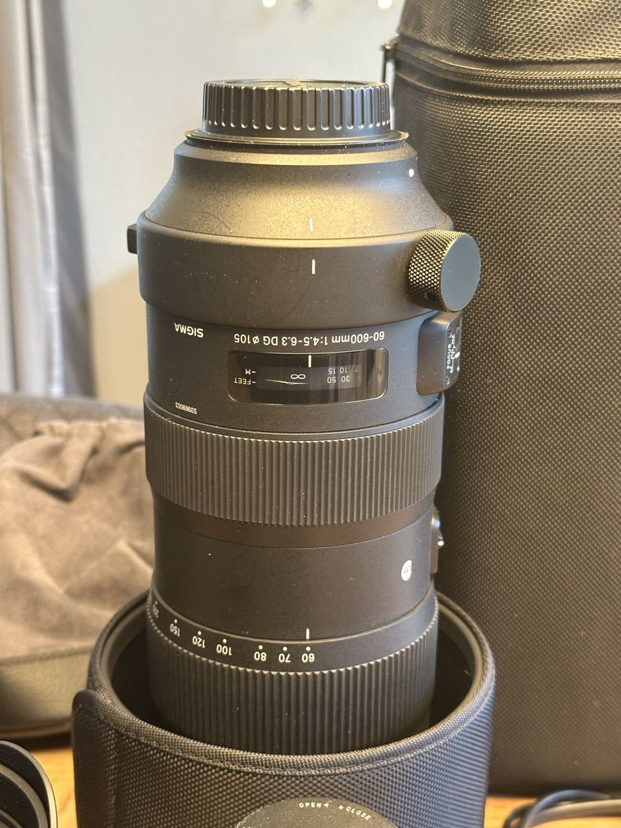 Canon EOS R6 Mark II Profi-Set – 7 High-End Linsen (Gebraucht) in ...