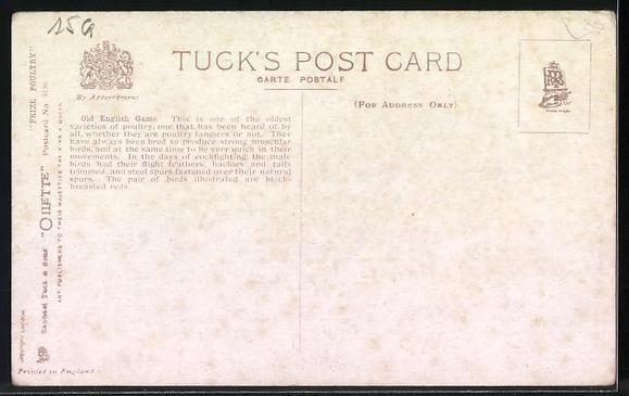 Old English Game, Prize Poultry, Hühner (Gebraucht) in Berlin für CHF ...
