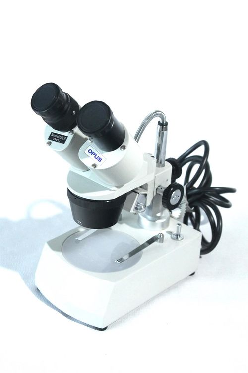 OPUS SKT Binokular / Stereolupe | Kaufen auf Ricardo